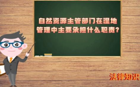 【自然资源知识】—自然资源主管部门在湿地管理中主要承担什么职责?