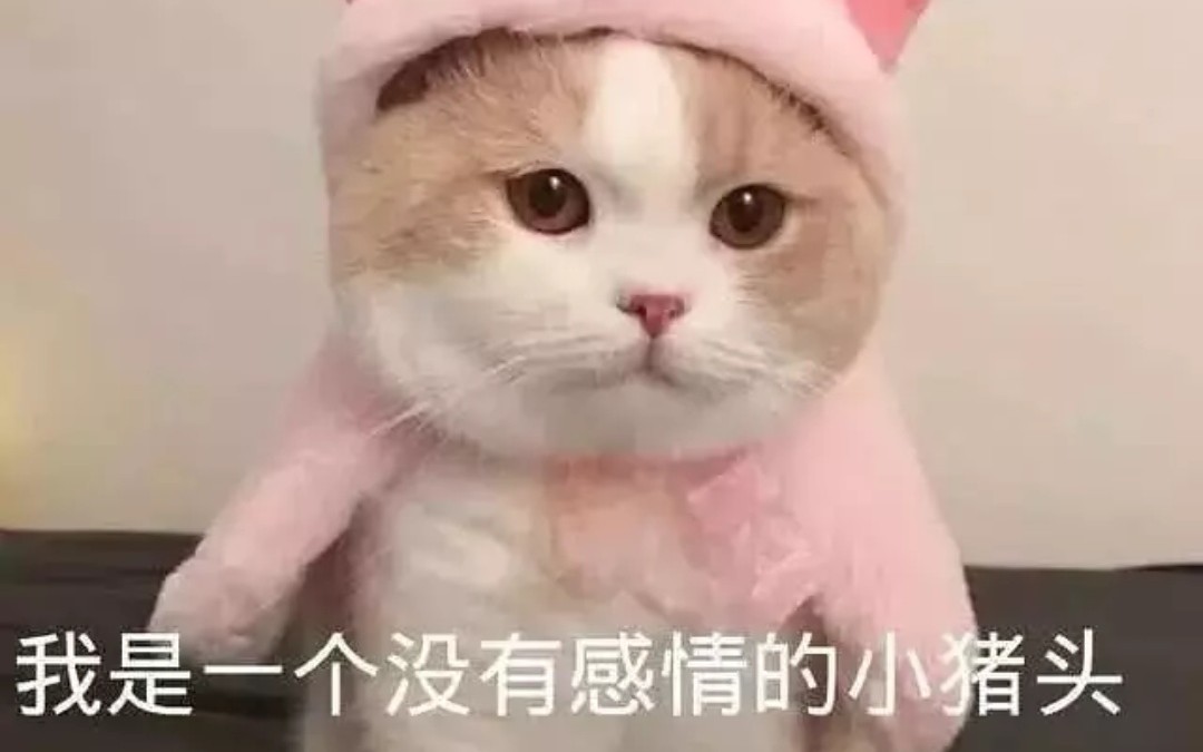 教你如何科学撒娇卖萌ớ ₃ờ