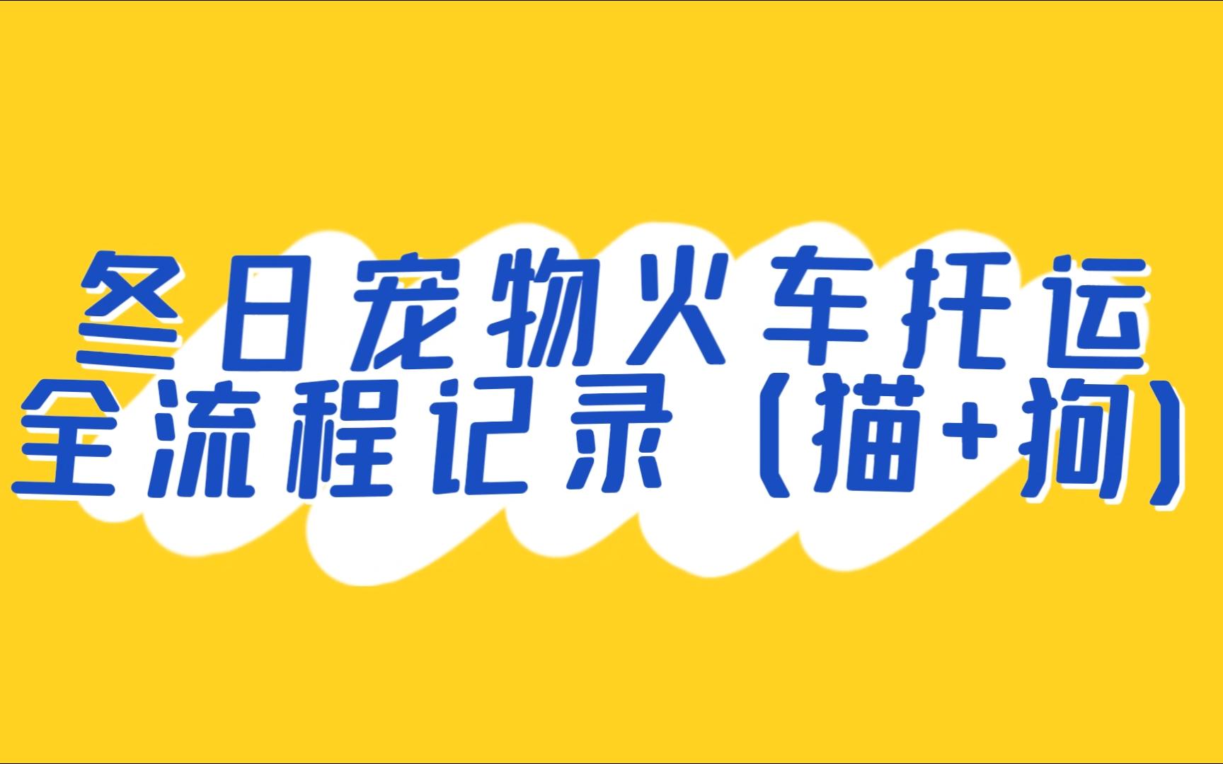冬日宠物火车托运全流程记录(猫+狗)