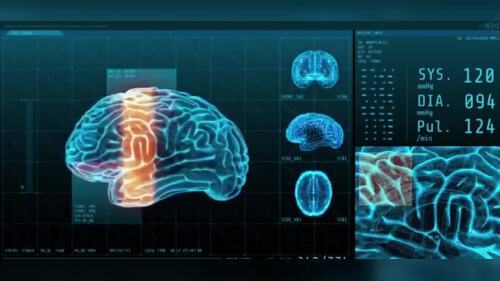 培养细胞用作神经计算介质,生物机器人大脑可以进行简单沟通