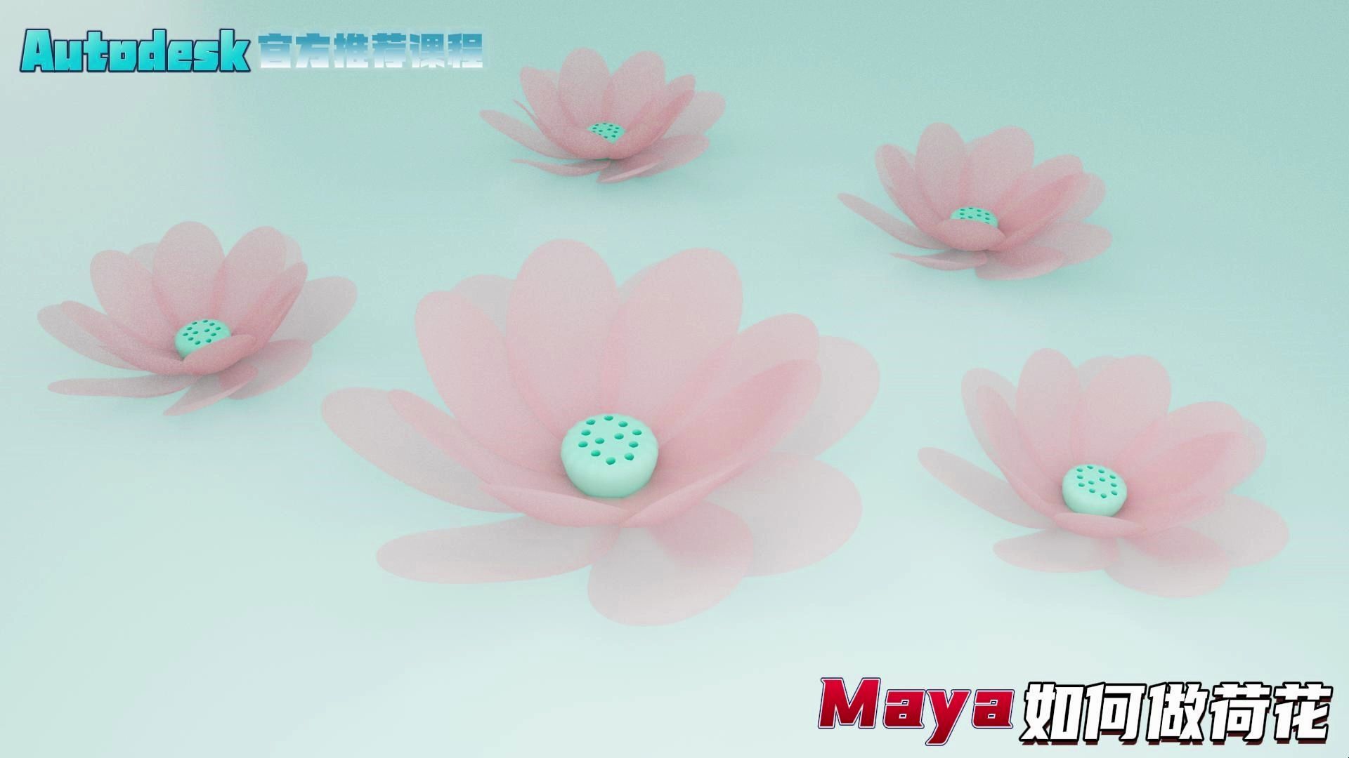 【SCI科研制图教程】如何用maya软件做荷花(Maya软件)