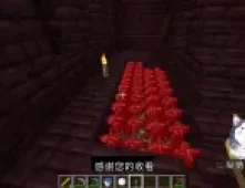 我的世界:地狱中的特殊材料:灵魂沙