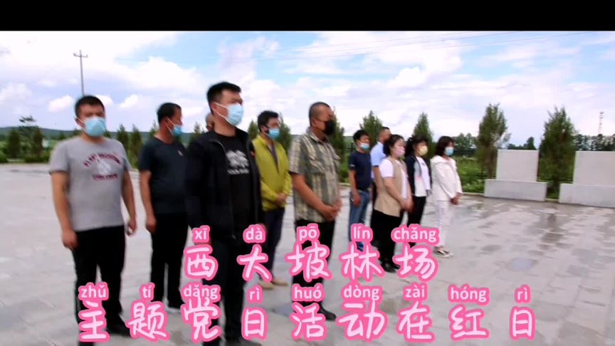 西大坡庆七一主题党日活动