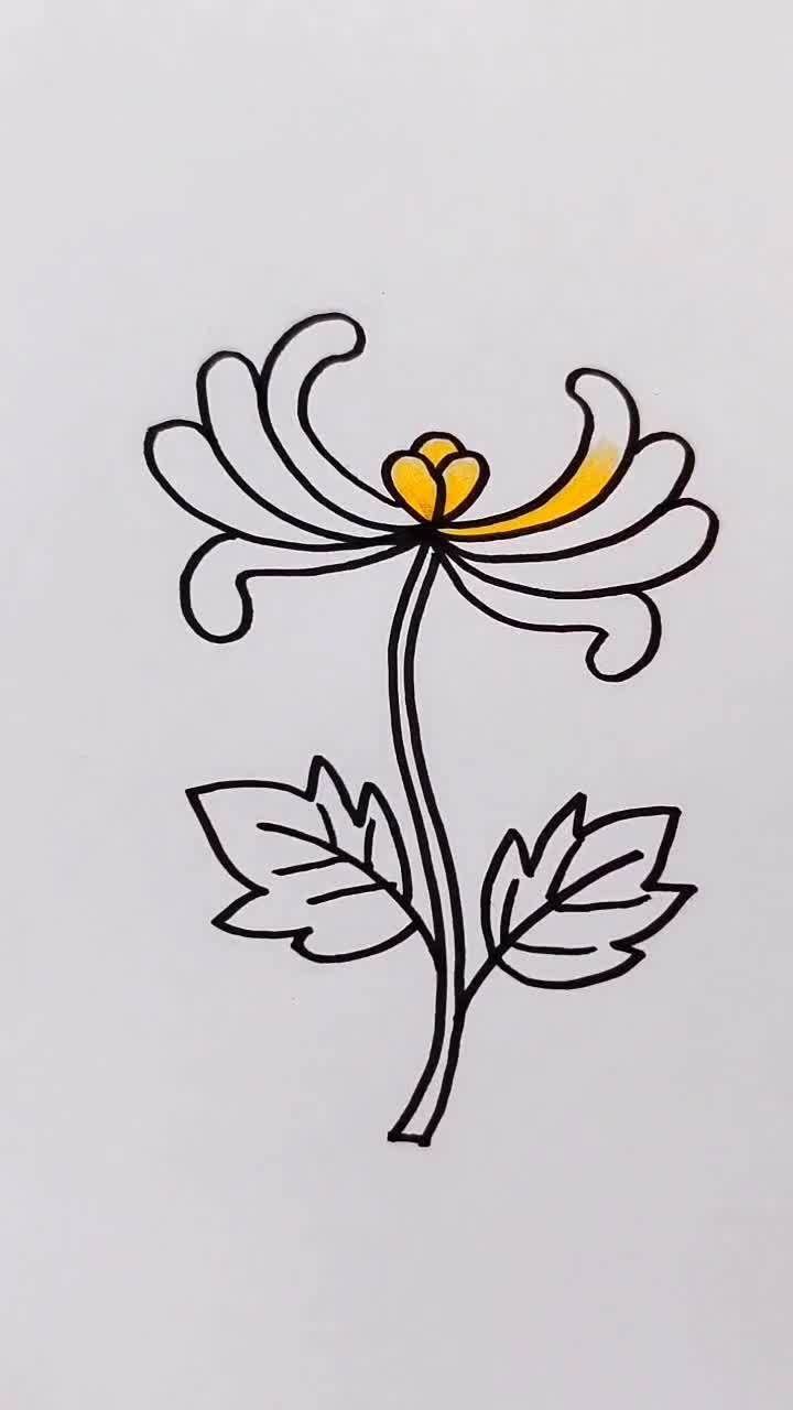 一起来画菊花育儿