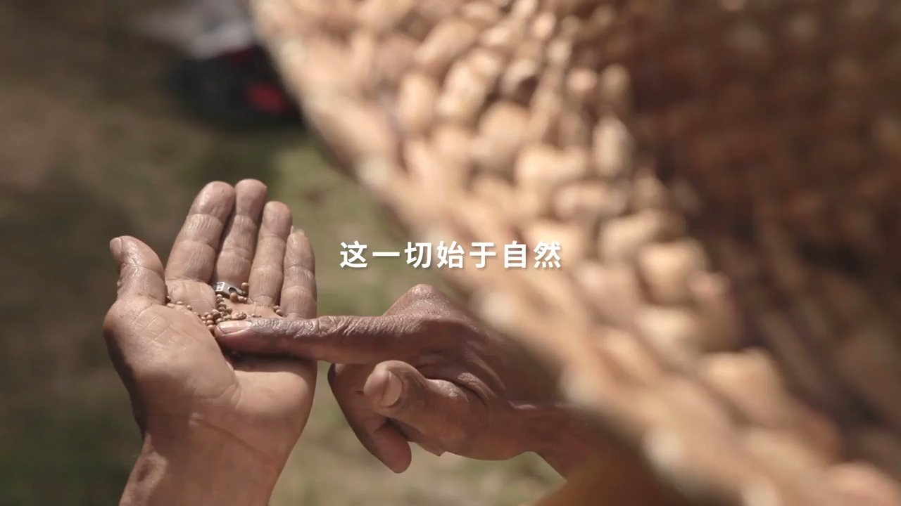 2024世界粮食日宣传片