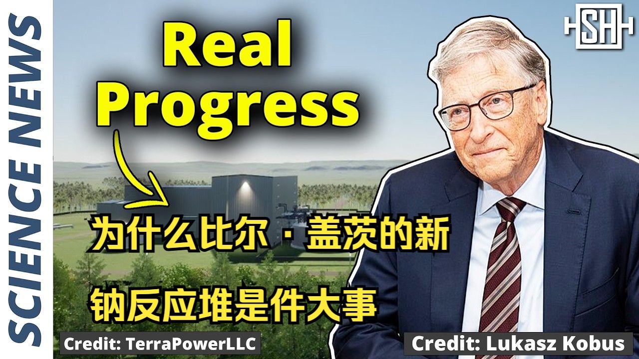 为什么比尔·盖茨的新钠反应堆是件大事【每日科学新闻】|机翻中字