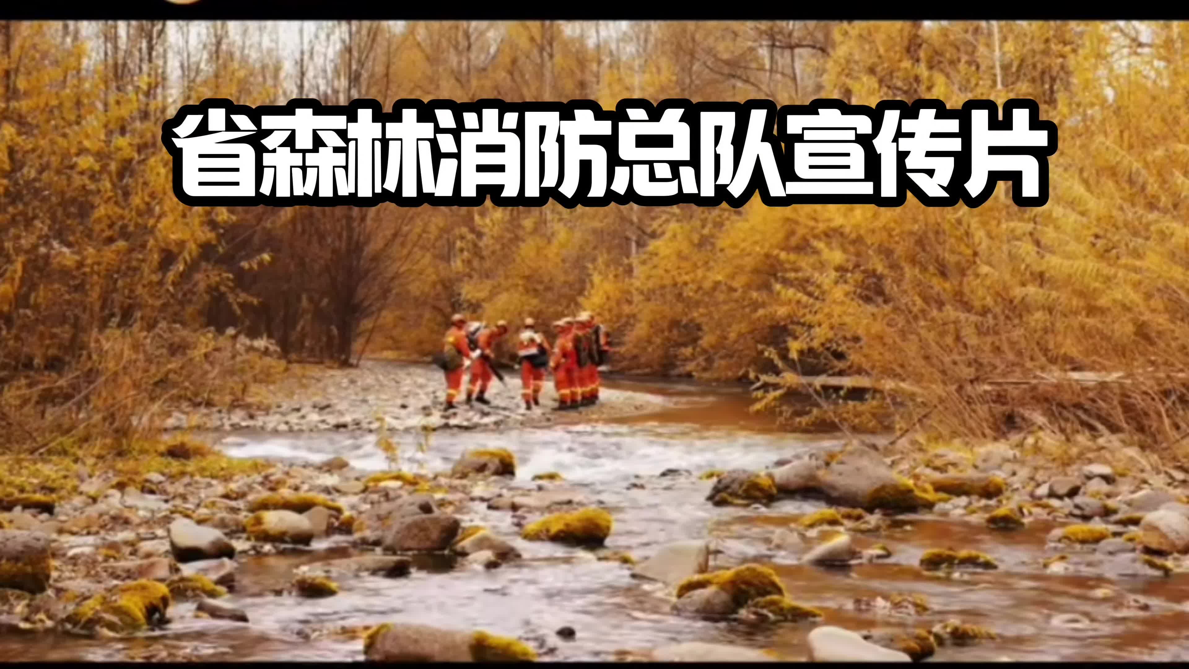 宣传片 森林防火人人有责。