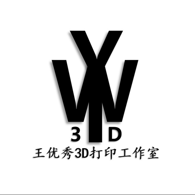 王优秀3D打印工作室 