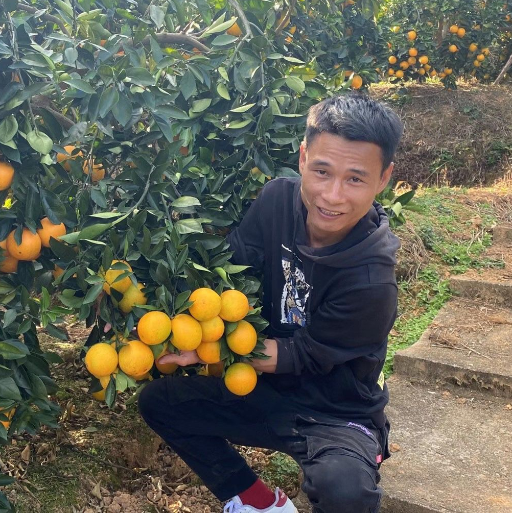 乡村凯迪 