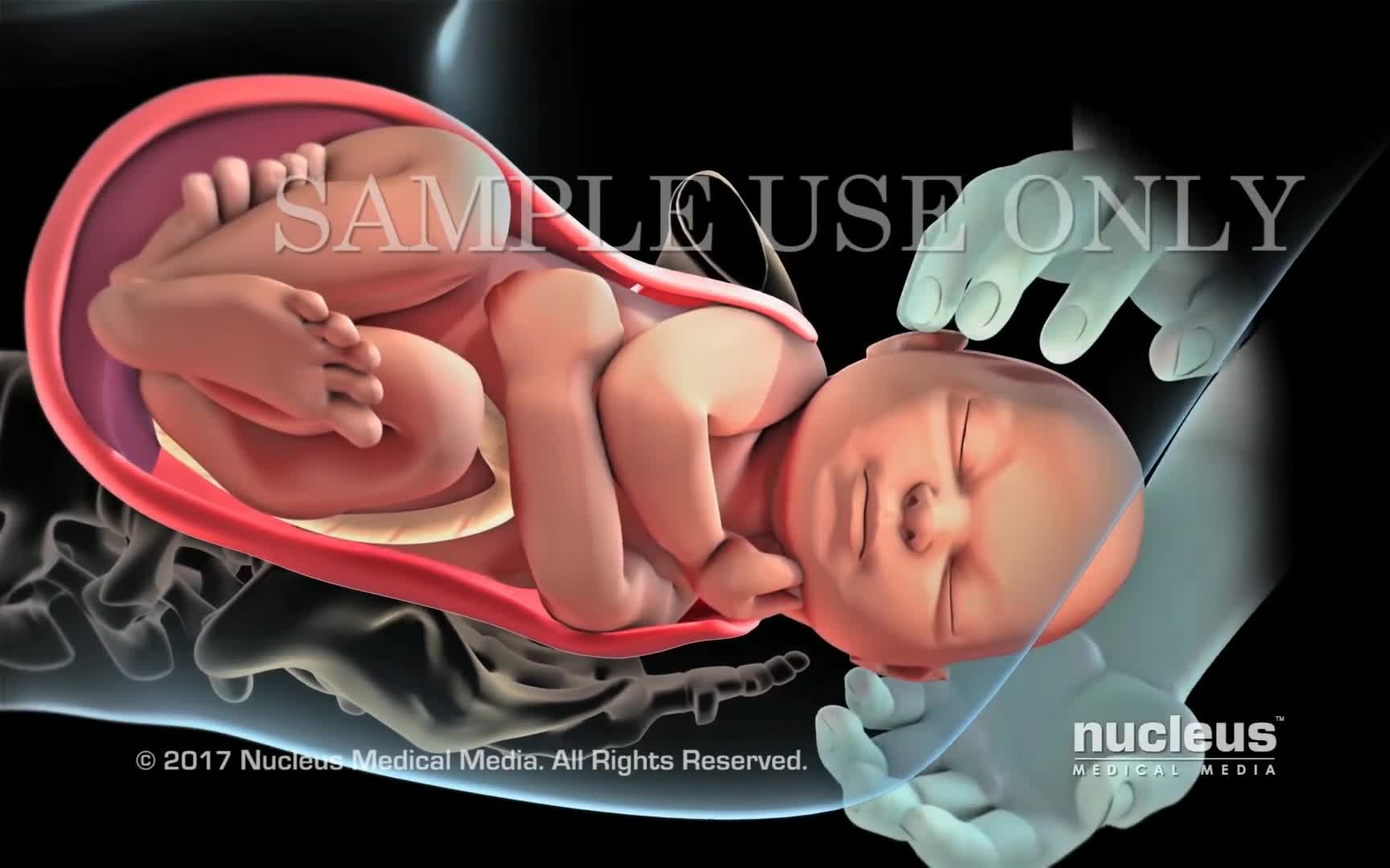 【3D医学动画】自然分娩全过程(原版英文+中英双字幕)