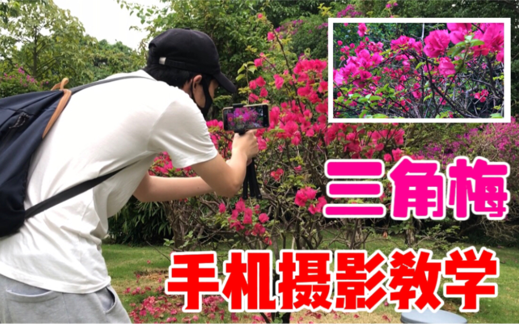 ...怎么拍视频?新手小白用这个简单的拍摄技巧,拍出大片,手机摄影教学