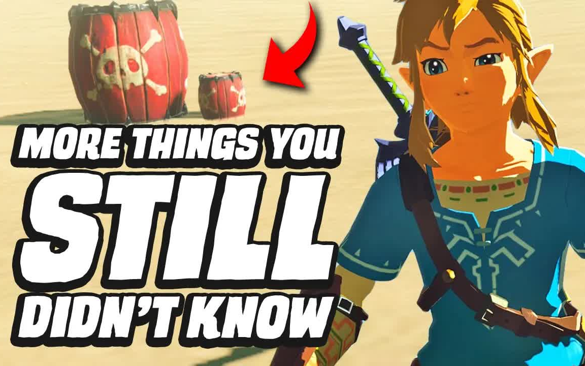 【GameSpot】关于《塞尔达传说 旷野之息》你仍不知道的“又”29件...