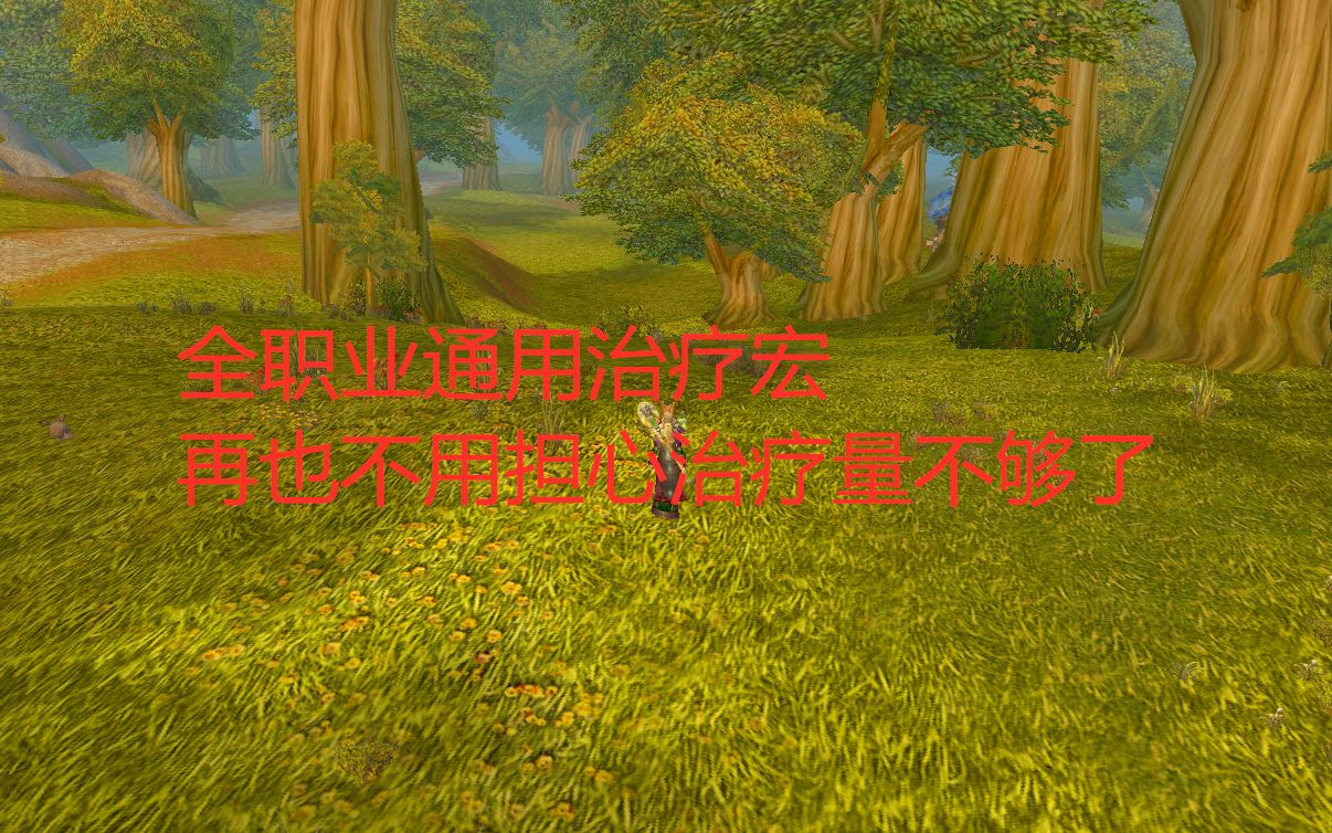 魔兽世界怀旧服全职业通用治疗宏,再也不用担心治疗量不够了