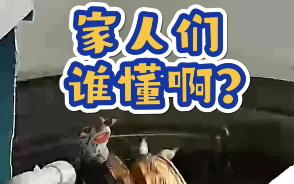 就没有人为这只龟发声吗?