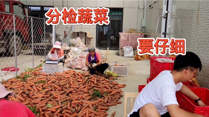 蔬菜销售不在是传统模式。