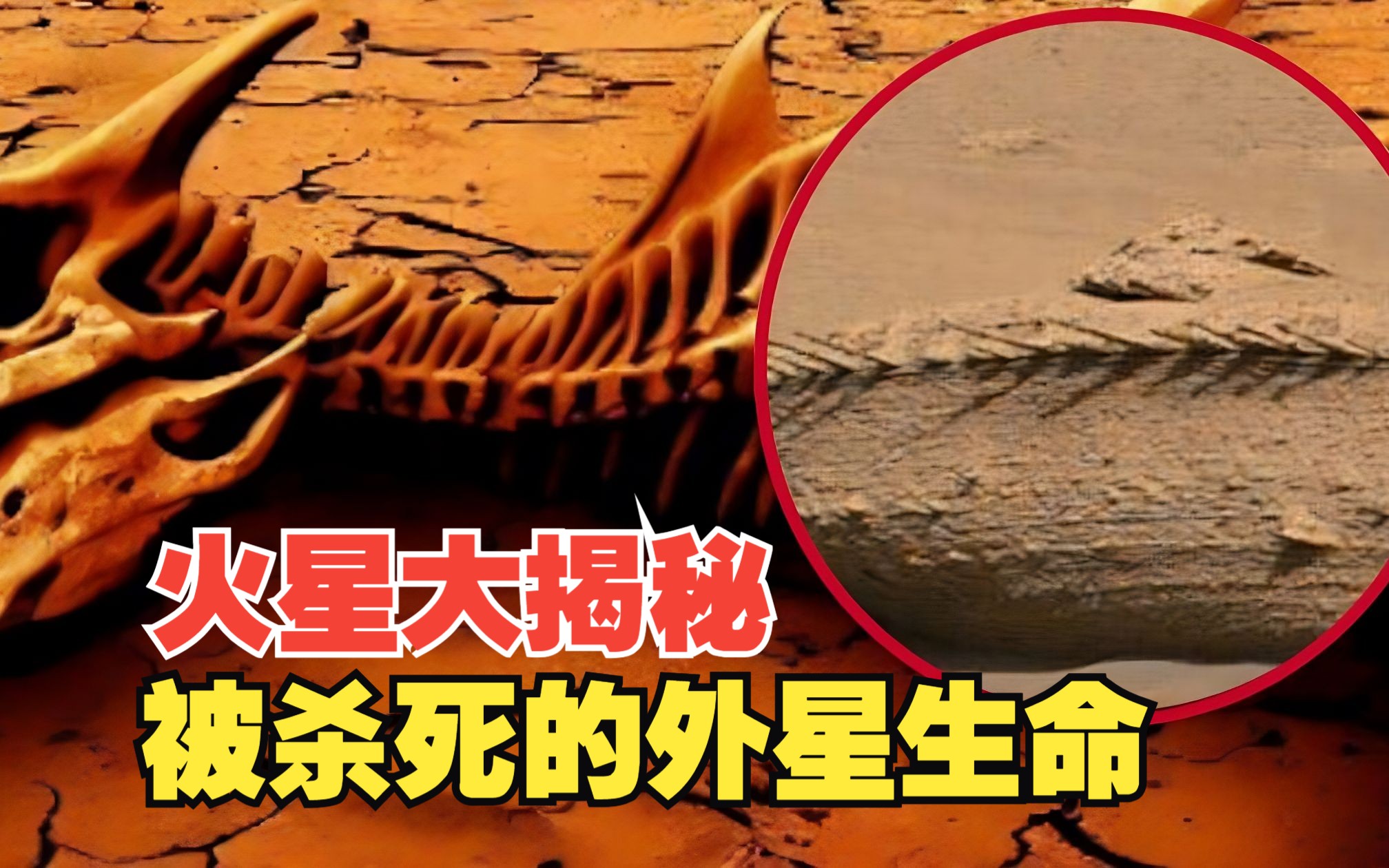 美国宇航局70年代就在火星上发现了生命,但却意外杀死了它?