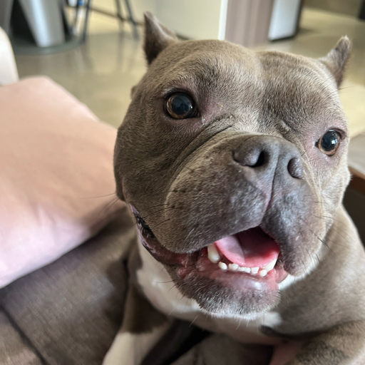 哒了个哒的小哒 