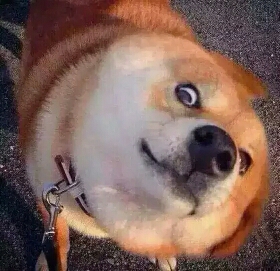 沒什么W的 