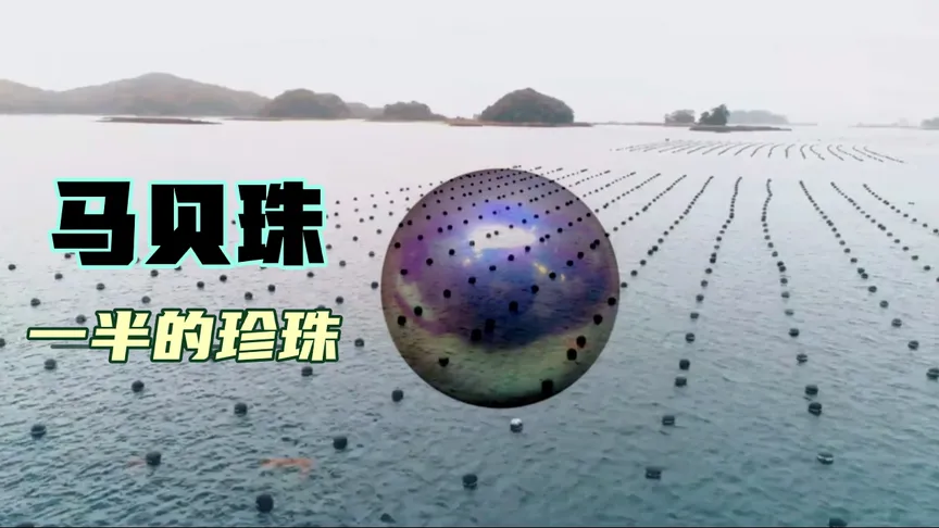 马贝珍珠算不算天然呢?你知道它和仿品的区别么