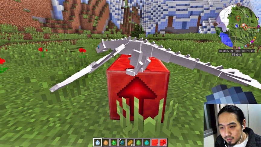 我的世界龙骑士21 龙骑士模组的惊喜,全模组所有生物蹦极!