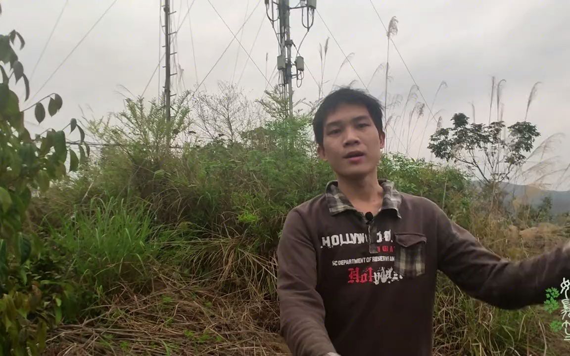 小伙去山顶上的信号塔参观,没想到头晕晕的,这塔辐射很大吗?
