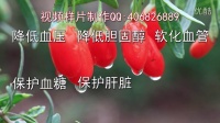 公司宣传介绍展示视频 企业宣传片制作样片