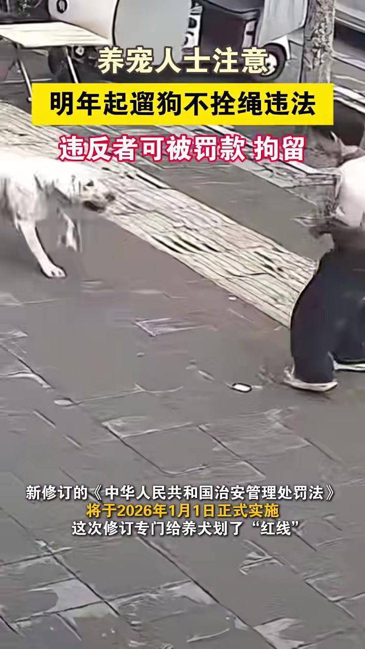 养宠人士注意了!新修订的《中华人民共和国治安管理处罚法》将于...