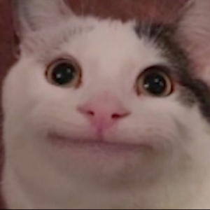 謏齕 