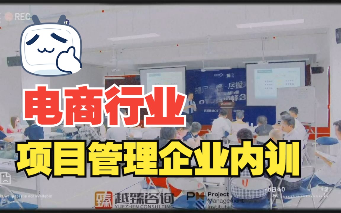 电商行业项目管理企业内训