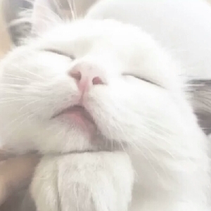 1行乐非所欲 