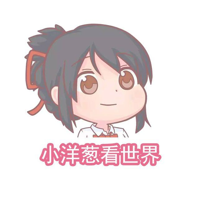 小洋葱看世界z 