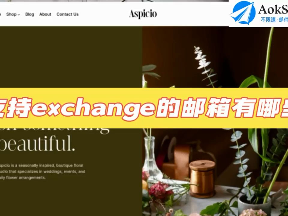 ...服务配置? 支持Exchange的邮箱客户端?Exchange服务的设置方法?