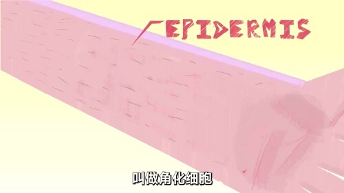 疤痕原来是这么来的,皮肤无法100%修复,未来有望完美消除