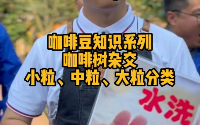 咖啡豆知识系列咖啡树杂交种介绍小粒、中粒、大粒分类介绍咖啡品种...