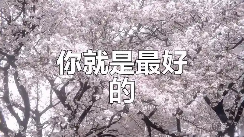 在我眼里,你永远是最美的