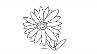 植物简笔画之漂亮的菊花幼儿亲子简笔画