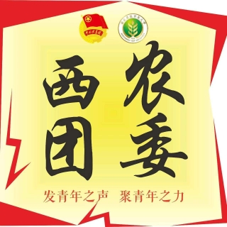 西农小团 