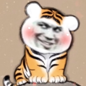 不玩的斑马 