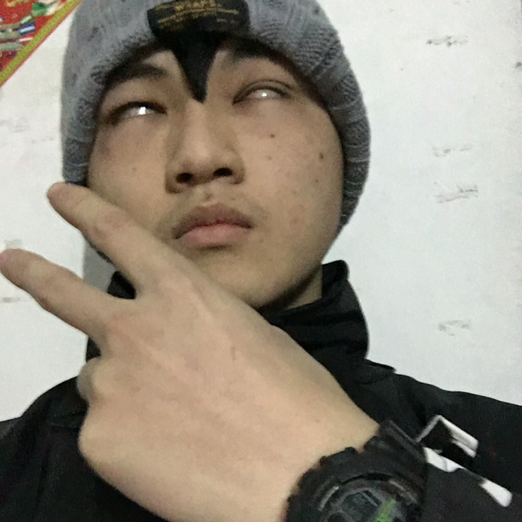 不再年轻的追风少年 