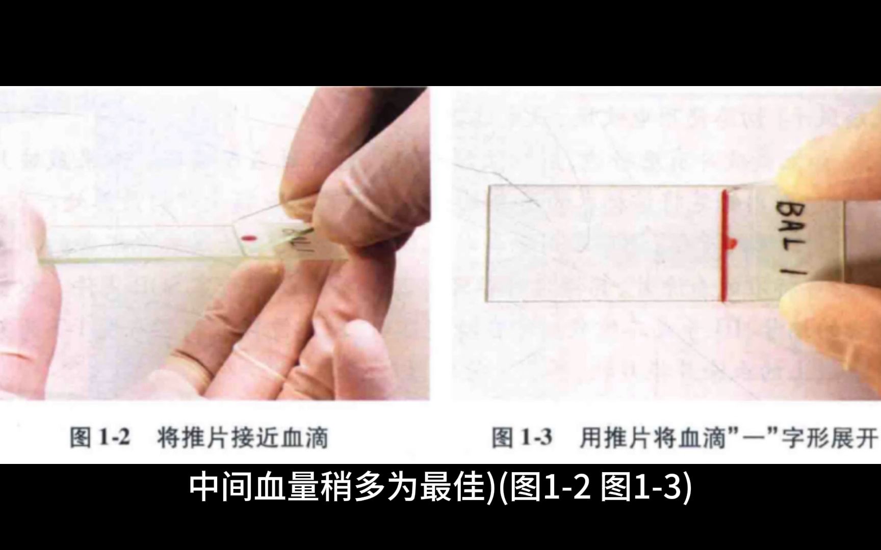 血片标准制作流程与问题解析