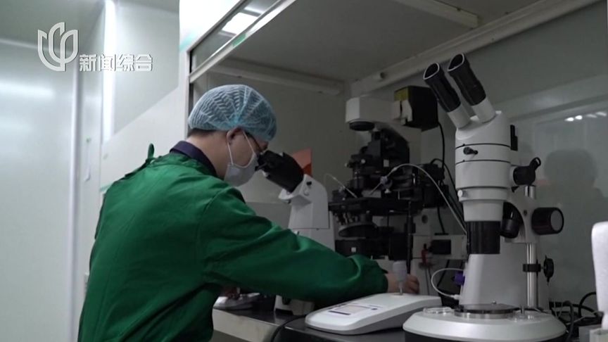 基因编辑研究等拟由国务院卫生主管部门审批,将加大违规处罚力度