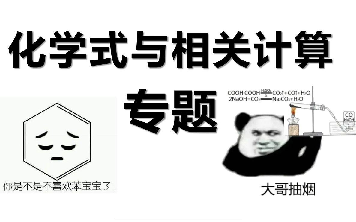 【中考助力&初中化学】化学式与计算从入门到熟悉