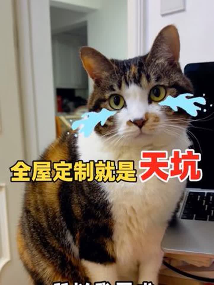 ...全屋定制就是大坑#全屋定制踩坑 #装修避雷 #做柜子要注意哪些细节 ...