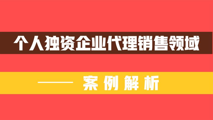 个人独资企业代理销售领域案例解析