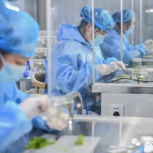 济南腾昊组培设计建设 