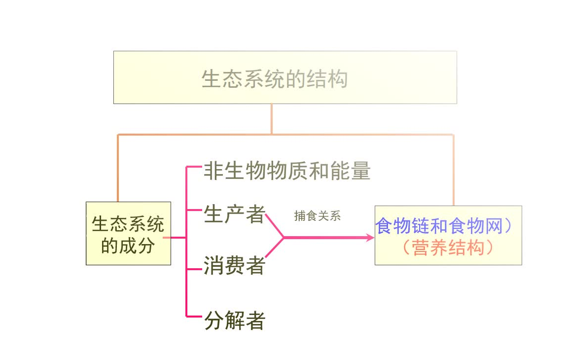 生态系统的结构和能量流动一轮复习