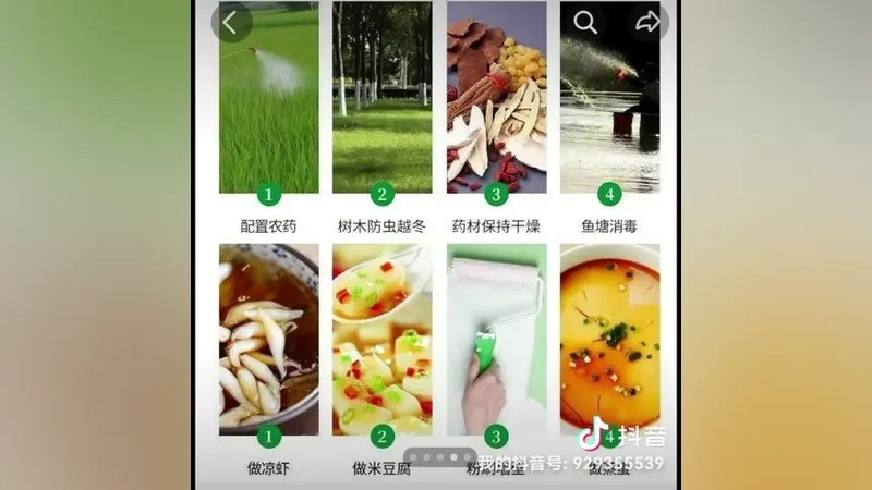 生石灰粉消毒杀菌防虫改良土壤净化水质树木刷白防霉除湿