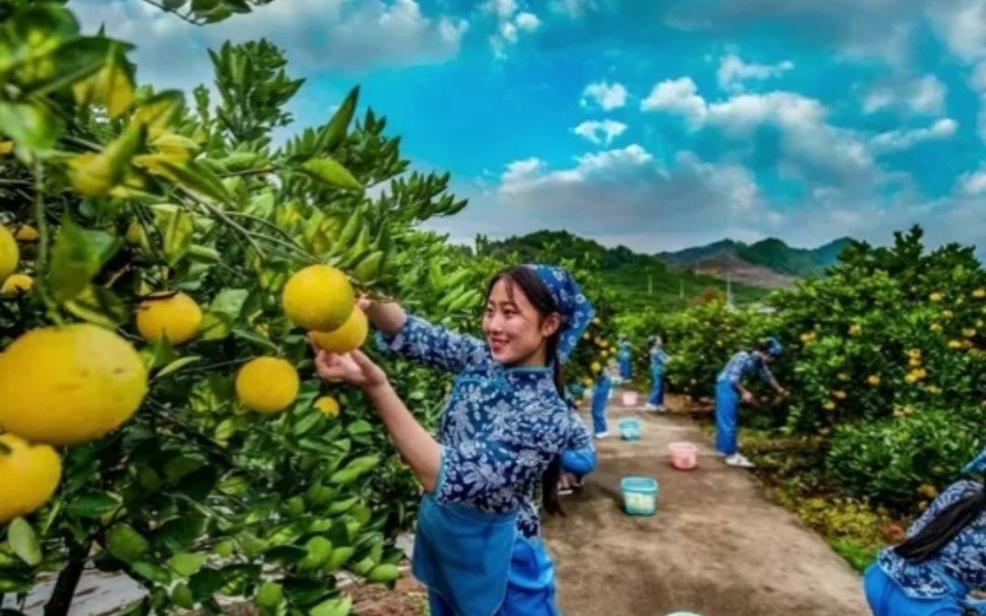 打造农业全产业链,让原有获利翻倍