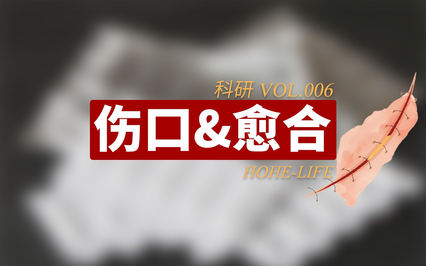 科研丨伤口愈合发生了什么?