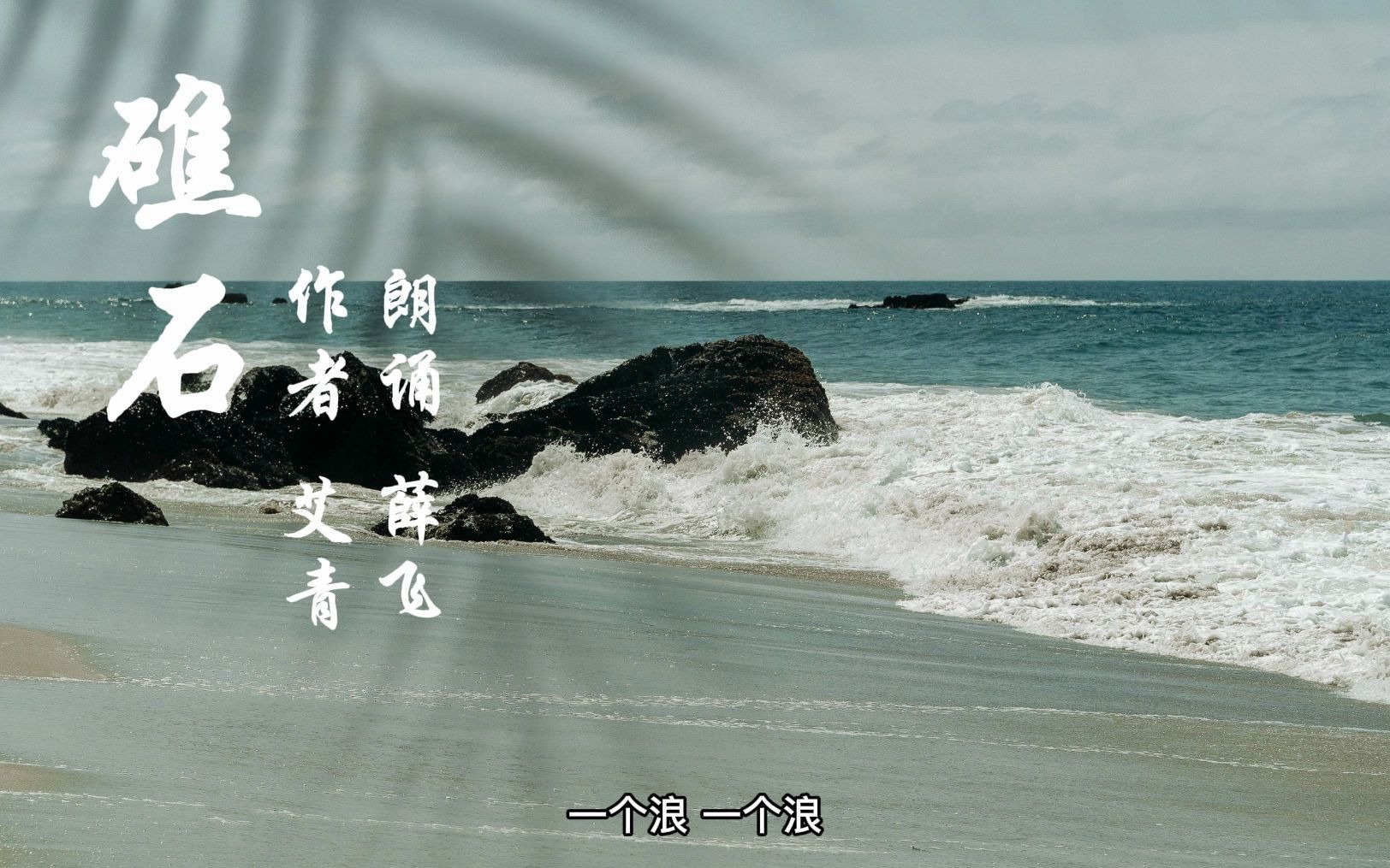 薛飞深情朗诵《礁石》